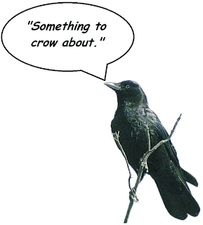 Reflections from Bon Bon Pond: More Crow Stories