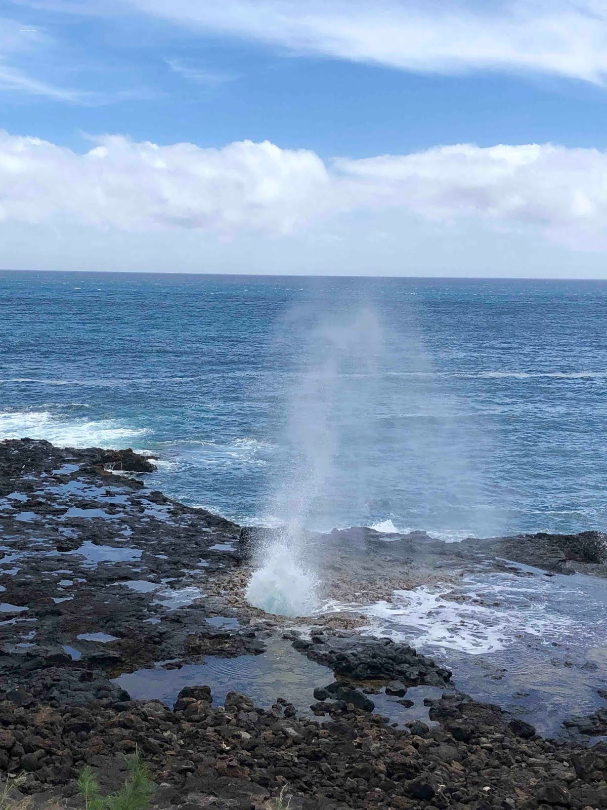 Hawaii Mom Blog: Visit Kauai: Spouting Horn