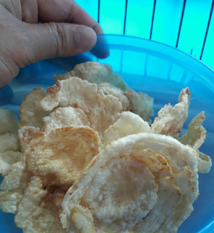 Puteh Dandelion: POKOK BELINJAU @ MELINJAU - GNETUM GNEMON