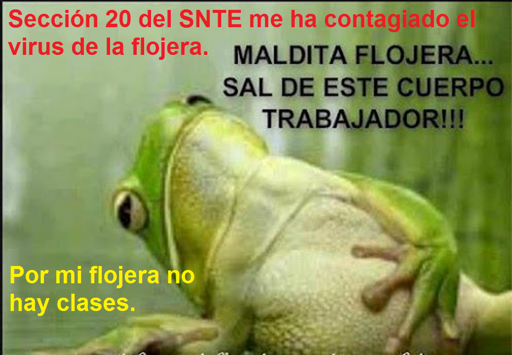 Imagenes de flojera - Imagui