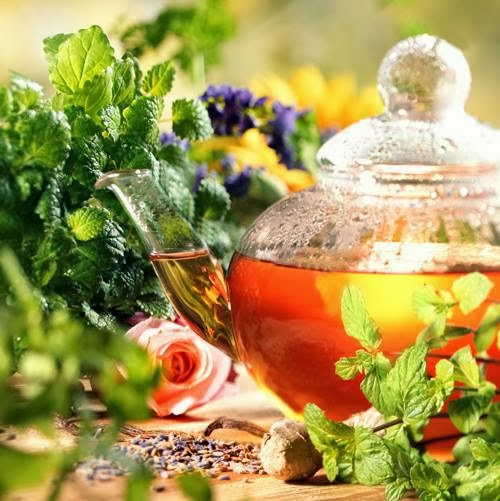 TU SALUD: Mas Infusiones Naturales