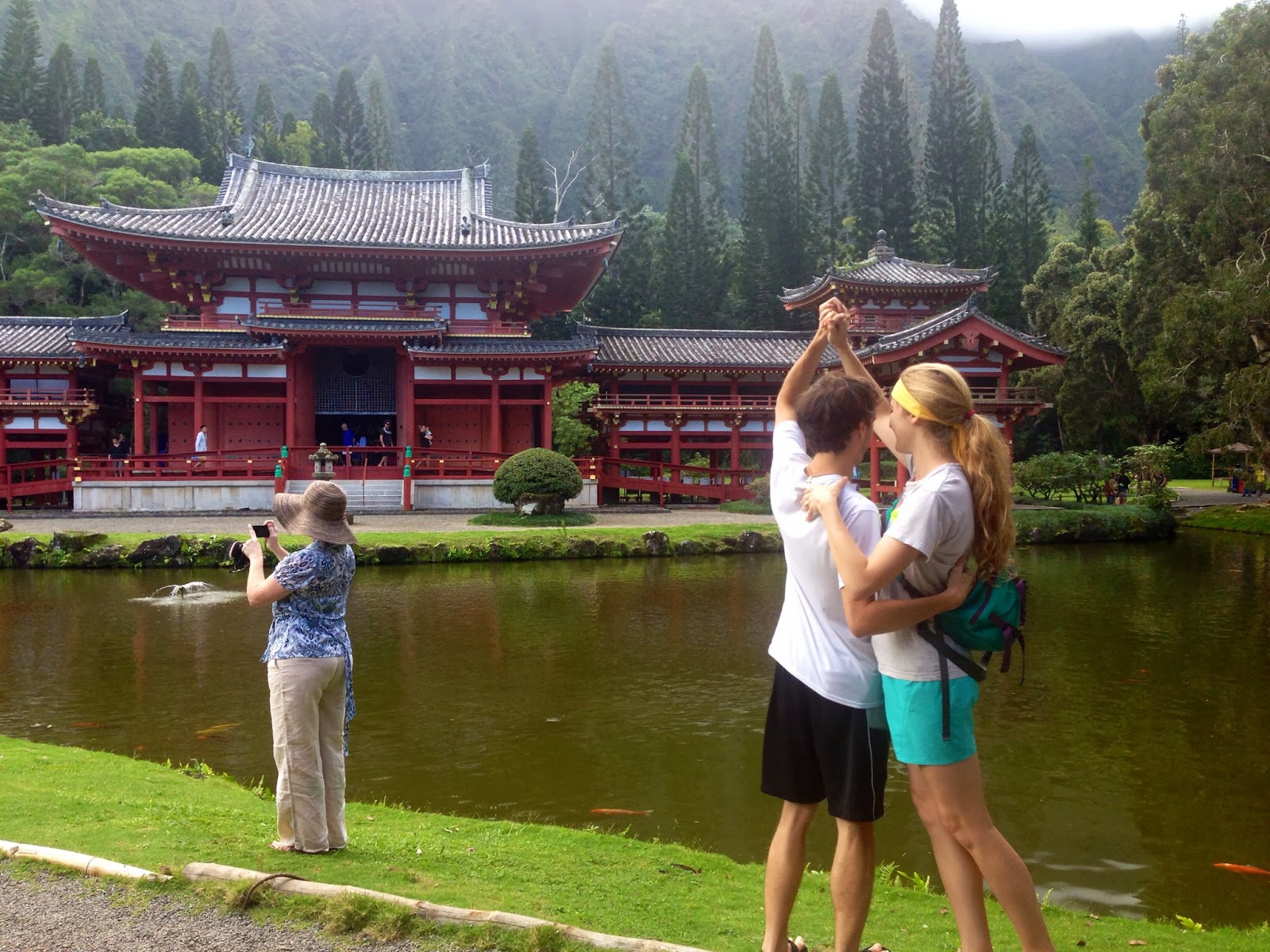 Aloha Windmill Farms: Giant Toad Invades Hawaii