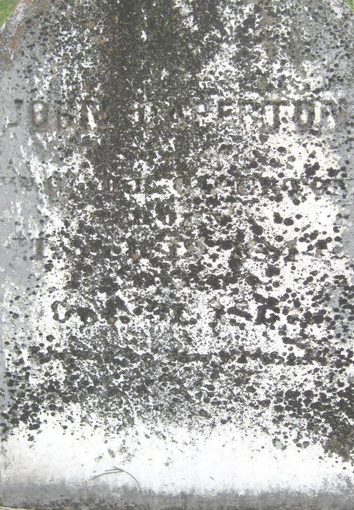 Civil War Quilts: Harriet Alexander Caperton's Sampler # 3: The Civil War