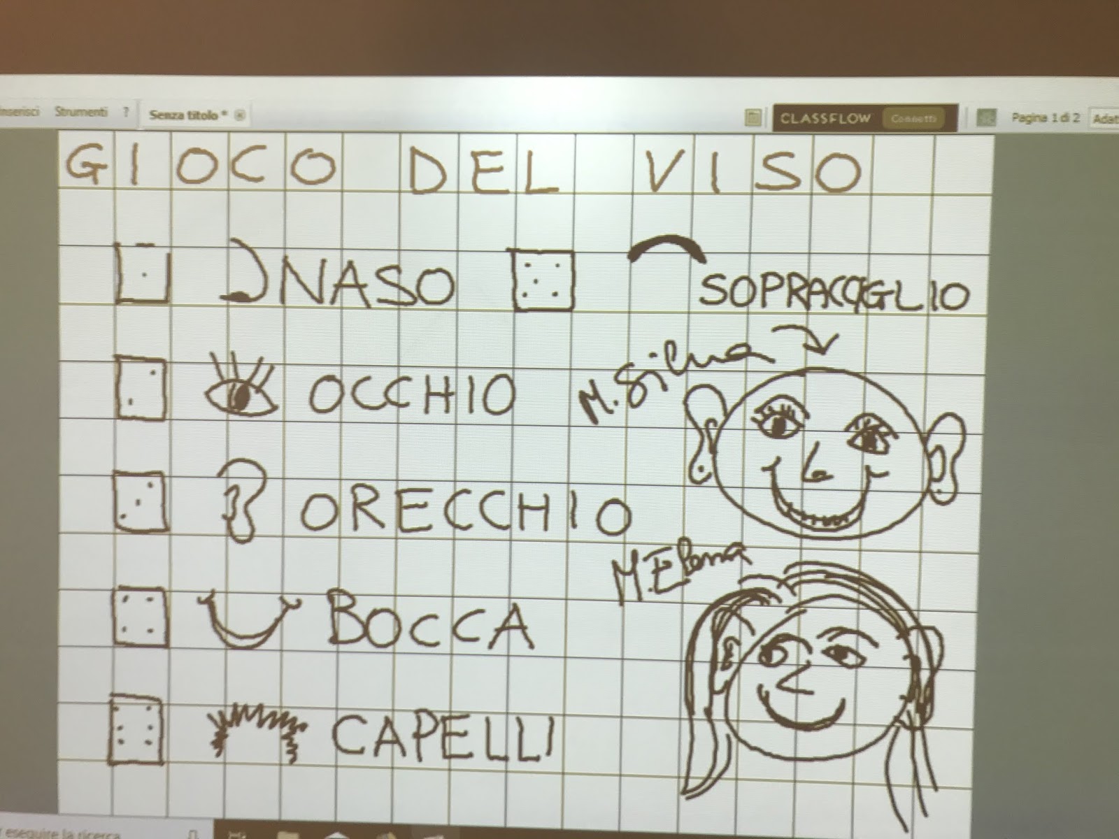 IL GIOCO DEL VISO