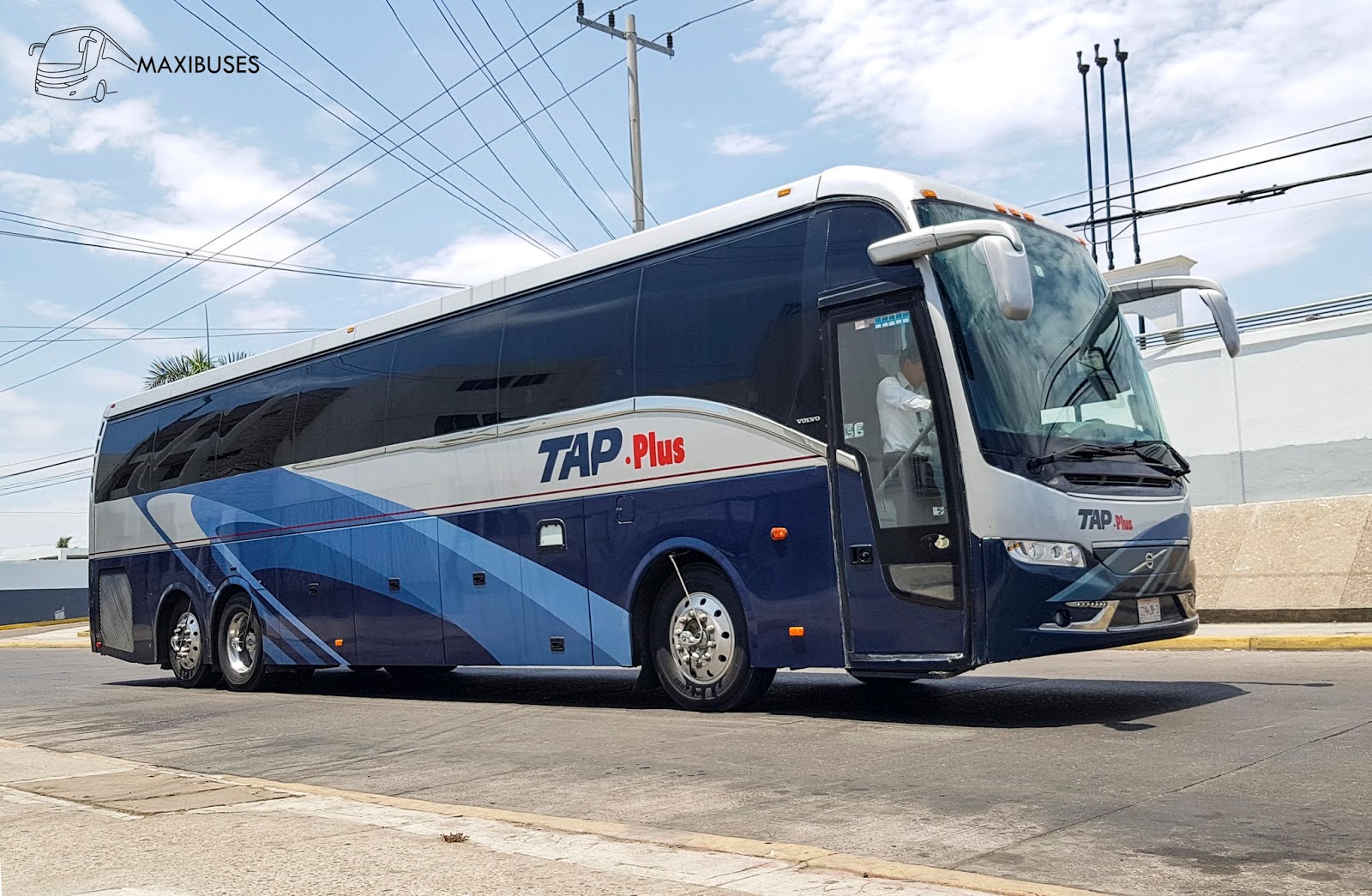 MAXIBUSES: TRANSPORTES Y AUTOBUSES DEL PACÍFICO, PLUS (TAP)