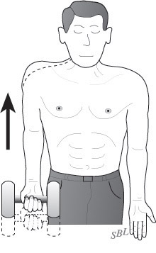 UW Shoulder and Elbow Academy: Strengthening the shoulder a bit at the ...