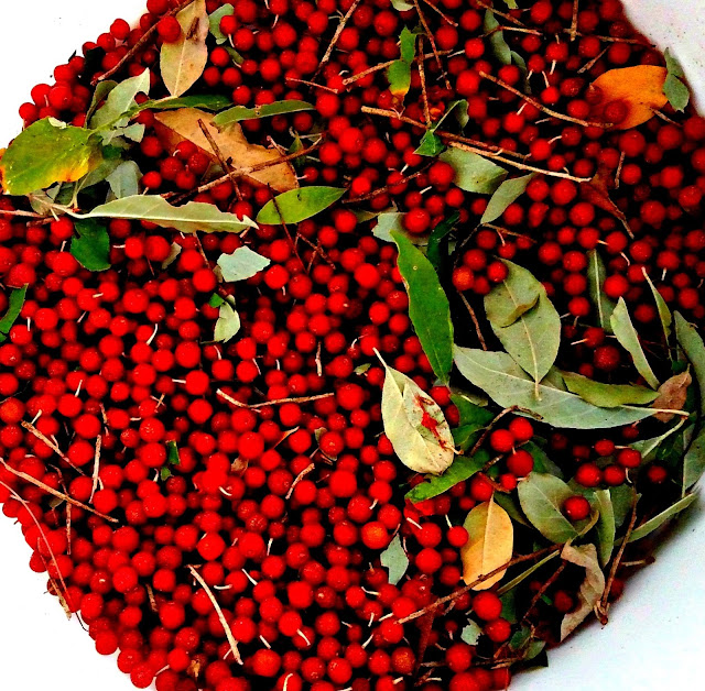 Two Bears Farm and the Three Cubs: Autumn Olive Jelly