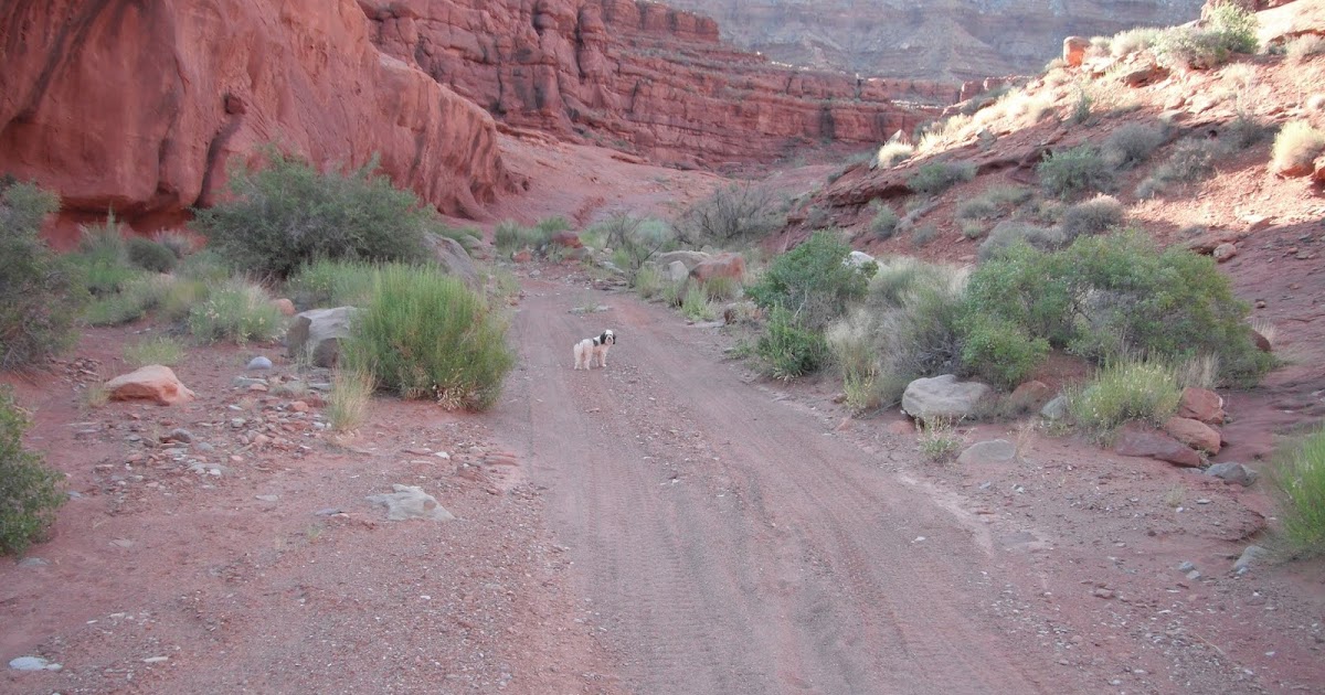 Base Camp - Moab, UT: Lockhart Basin