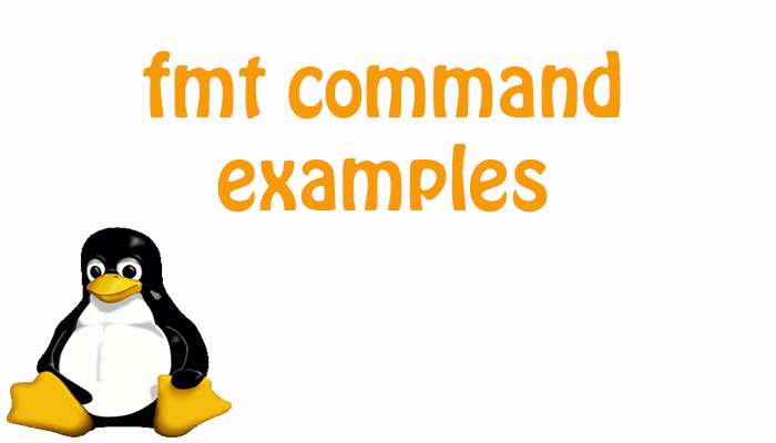 fmt command in Linux with examples | LPI Central