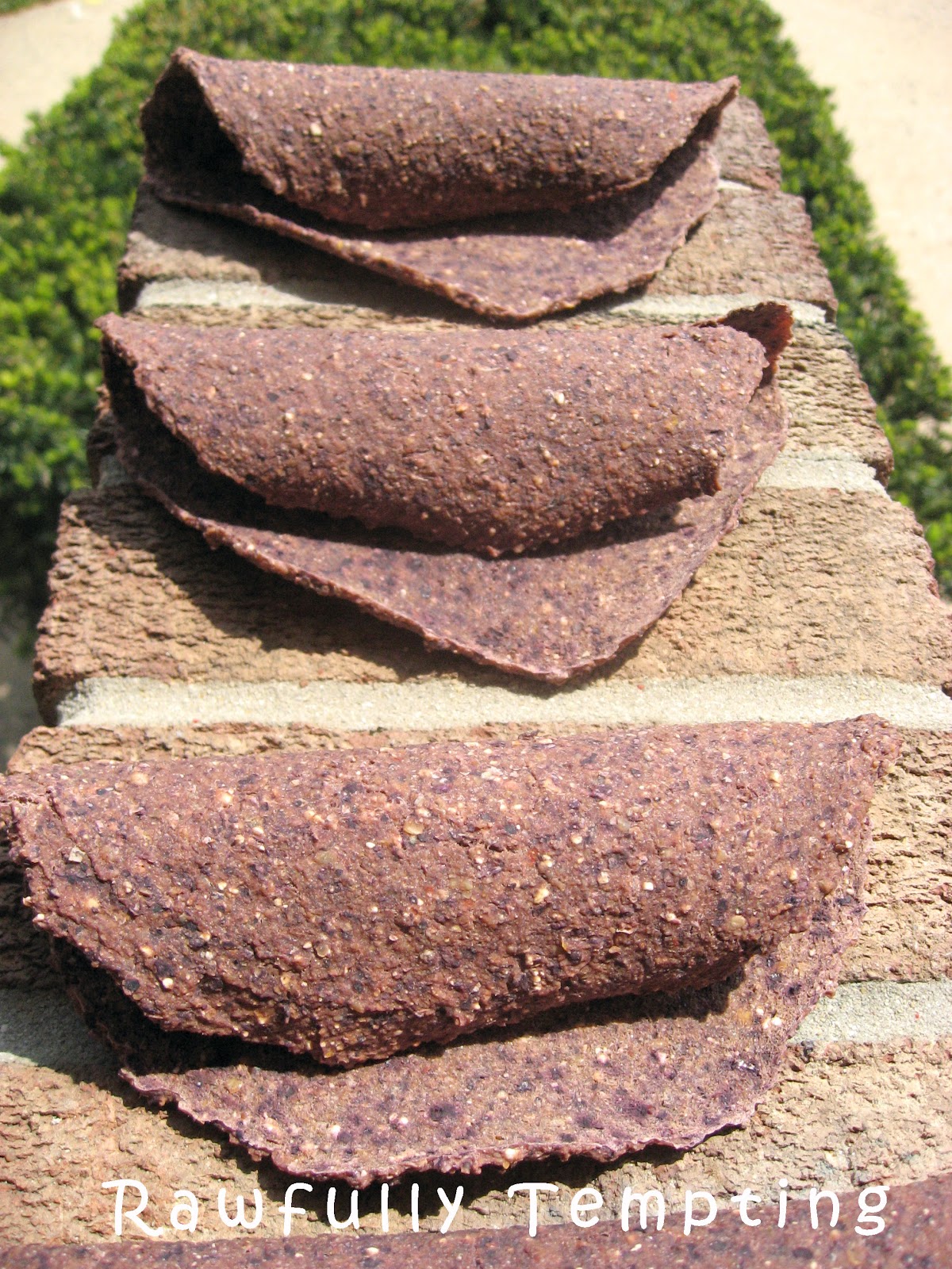 7. Serve with salsa, salads, dips or just munch on them as is.(See ...