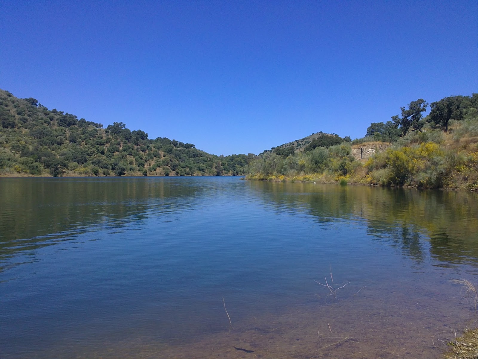 CUADERNO DE PESCA: JORNADA DE FEEDER EN EL EMBALSE DE LA MINILLA SEVILLA