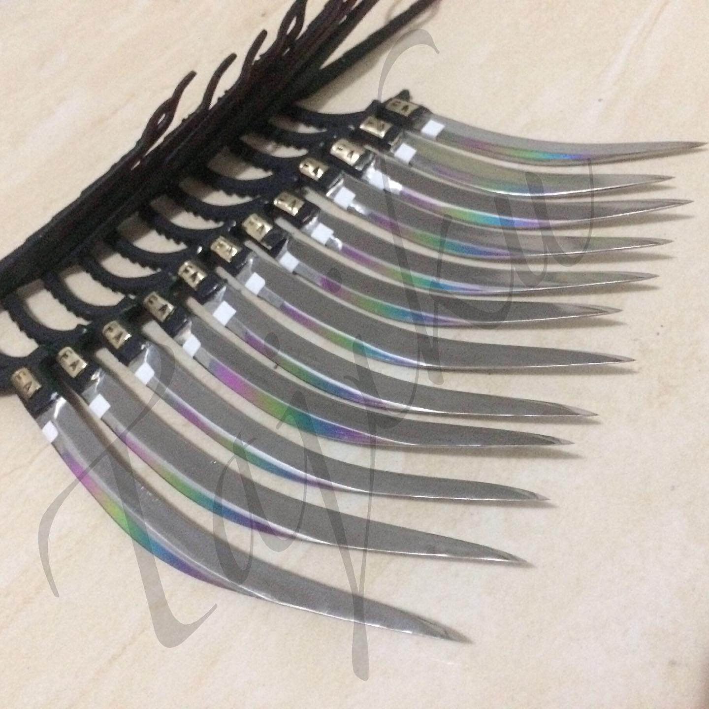 TAJIKU - TAJI AYAM FILIPINA: Model Taji Ayam