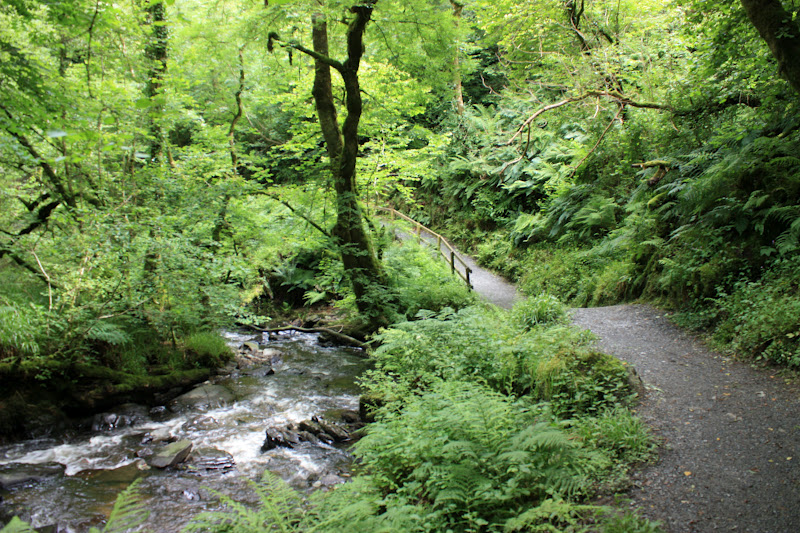 Our Cottage Garden & Country Living: Dun a Ri Forest Park