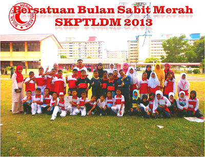 PERSATUAN BULAN SABIT MERAH SKPTLDM: Aktiviti PBSM: Mengenalpasti bahan ...