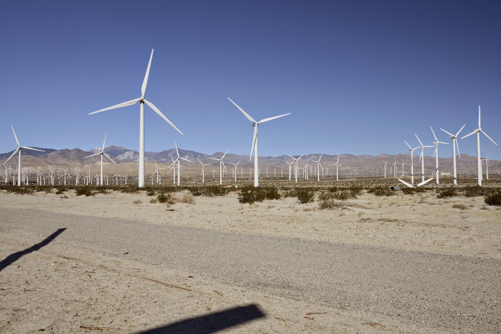 Turkey Tales and Frog Fables: Palm Springs Wind Farm Tour