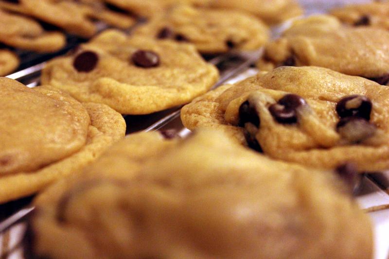 Super Soft and Dense Chocolate Chip Cookies | Fresh from the...