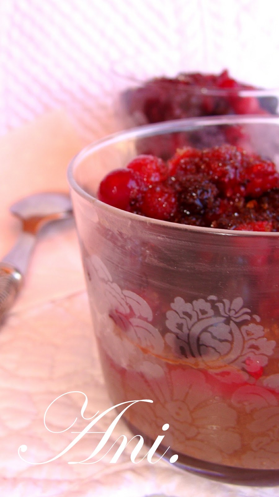 La Cocina de Ani: Copas de chocolate con ron y frutos rojos...dulce ...