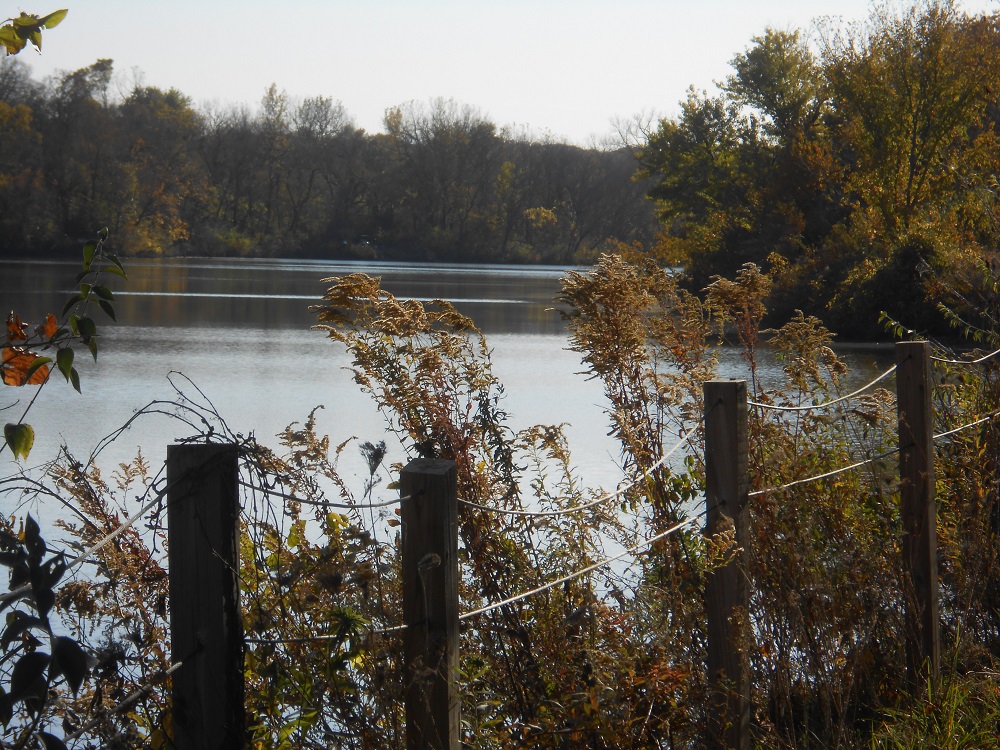 The Lucas Countyan: Along the trail at Lake Ellis