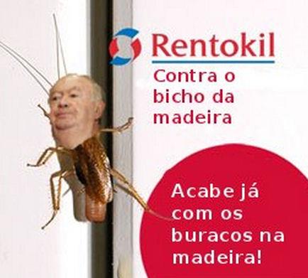 BoaBaiEla: O bicho da Madeira