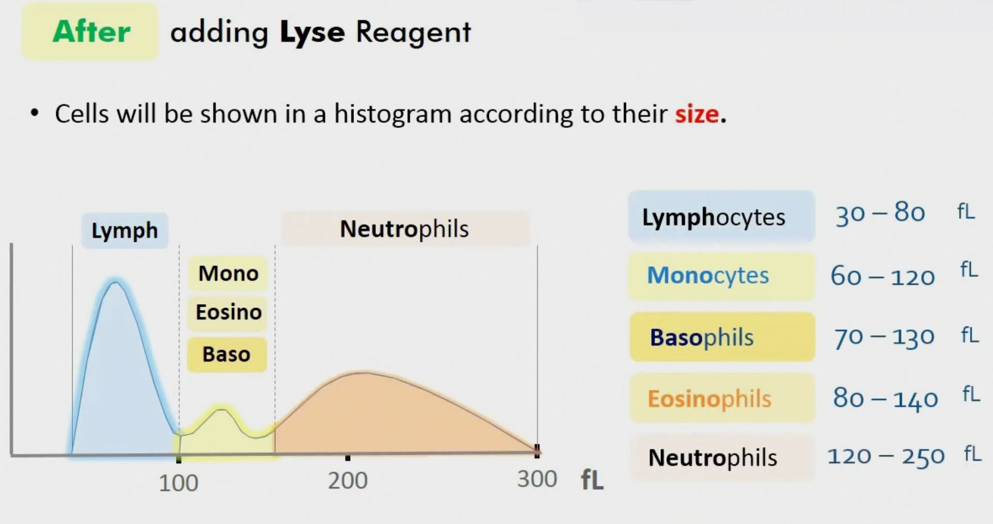 ຄູ່ມືວິເຄາະສະບັບໃໝ່ "Interpretation of Blood Cell Histogram" ມາແລ້ວ