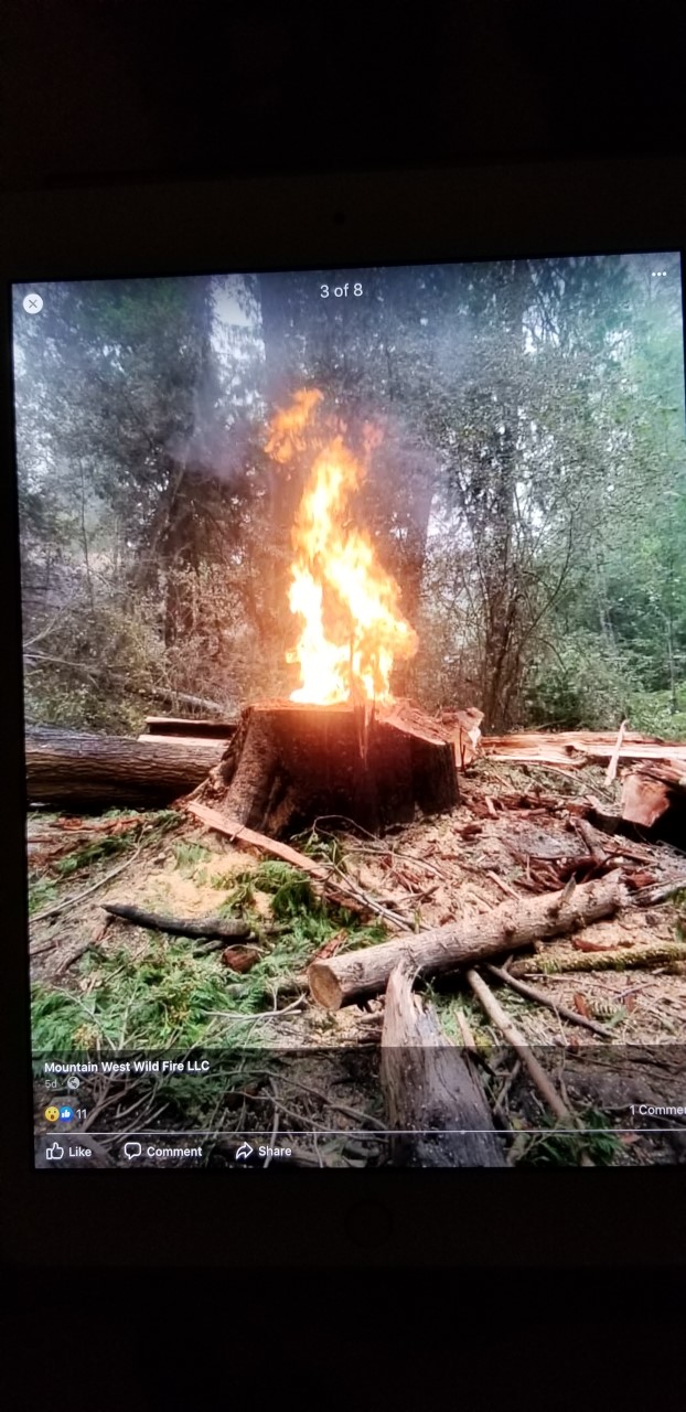 Vern's Stories: Some Pictures of Trees on Fire From the Inside