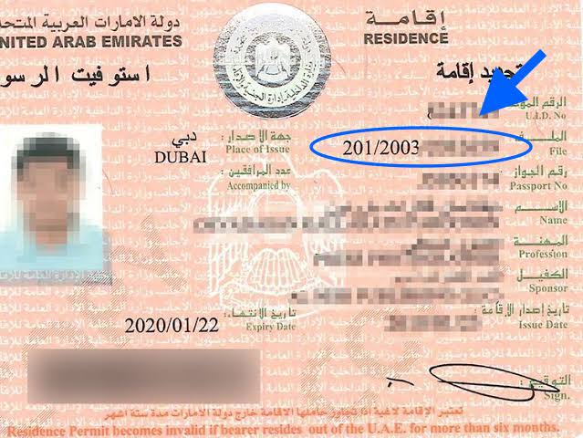 UAE Check Your Dubai Residence Visa Status Online UAE Check Your Dubai Residence Visa Status Online