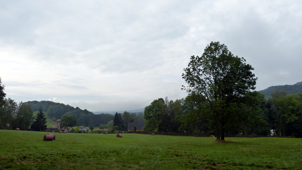 Naturwunder ...: Der Hasenberg