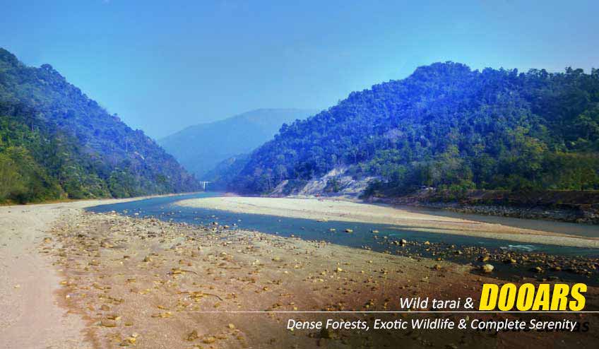 Dooars Tour Package - An exotic experience with Wildlife in 2020-21 ...