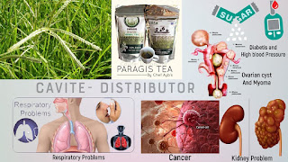 Its all about health: PROPERTIES AND HEALTH BENEFITS OF PARAGIS