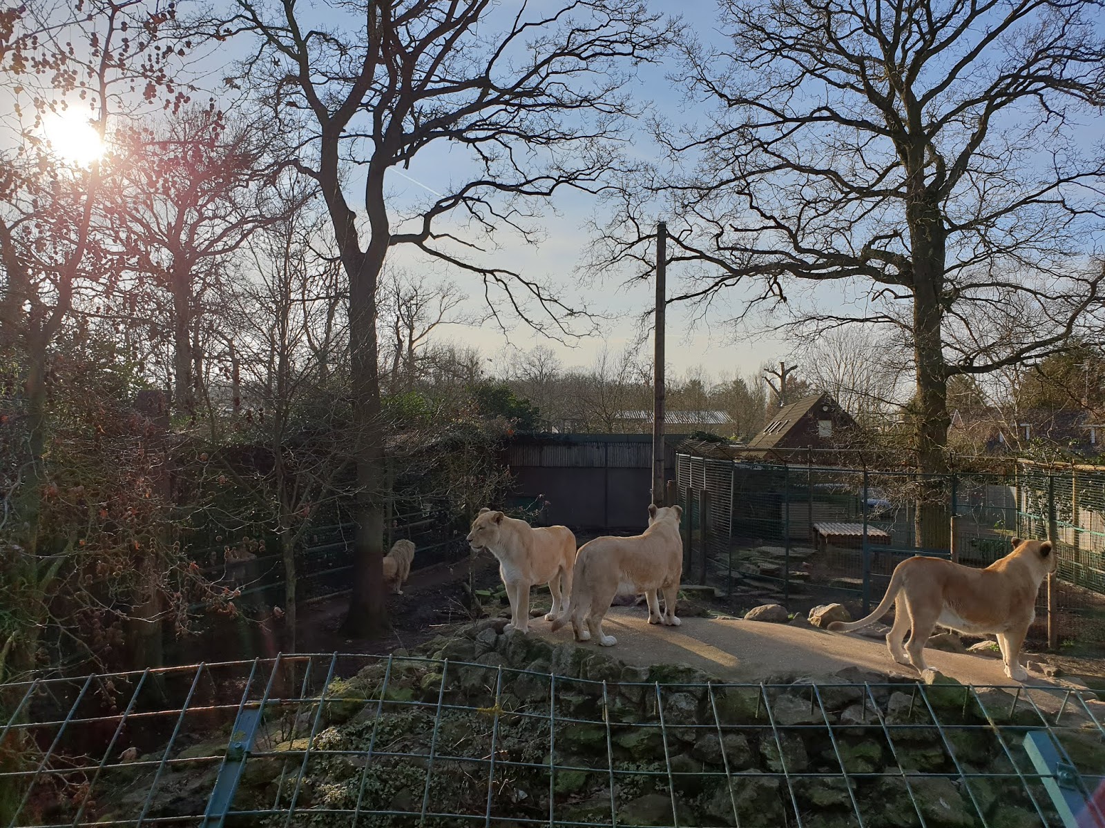 What we thought of the Paradise Wildlife Park