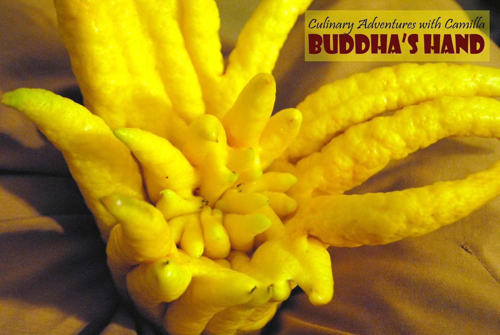 Buddha's Hand-Scented Salt and Sugar