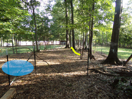 5 Acres & A Dream: Forest Garden: Poking Around in the Dirt