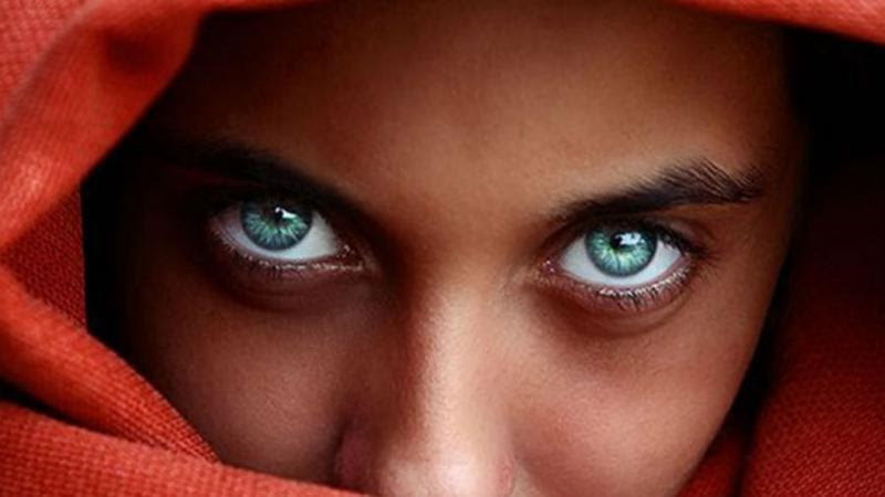 EL PODER DE LA MIRADA EL PODER DE LA MIRADA
