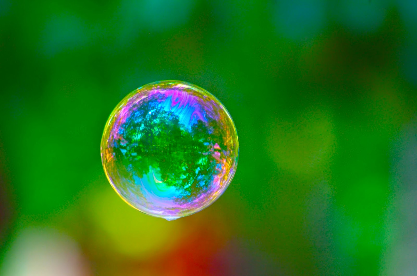 That Girl: TG wonders: Does Hope Float?