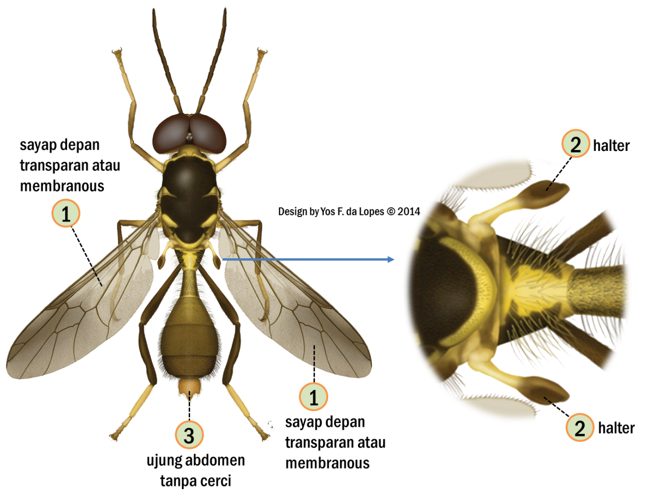 AGRICULTURE BLOG: March 2020