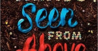 KISS THE BOOK: Things Seen From Above by Shelley Pearsall - ESSENTIAL