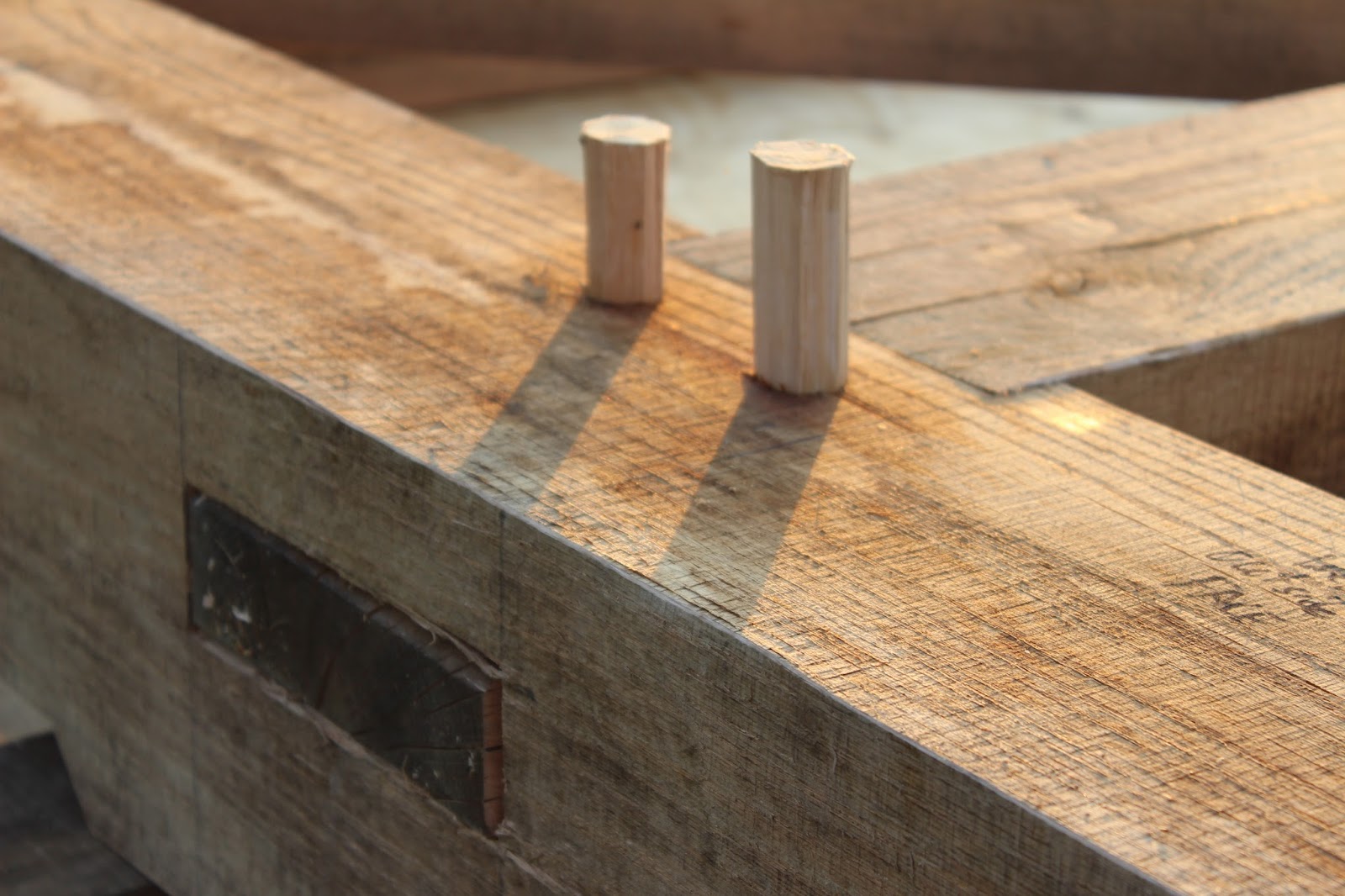 Around the Shop: Tree Nails