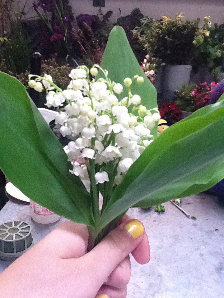 landish studio: Back from a floral expedition