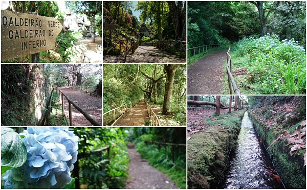 Levada Pico das Pedras – Un sendero accesible apto para todos ~ Isla de ...