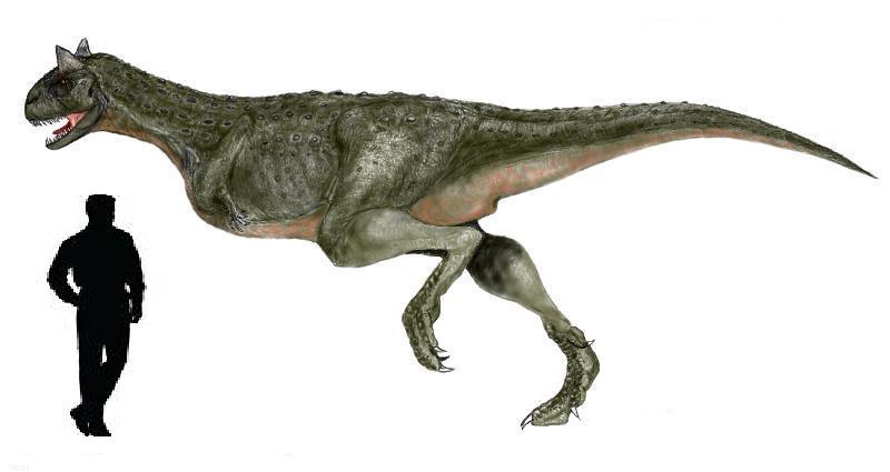 Los animales en la prehistoria: Animales prehistóricos con la letra C