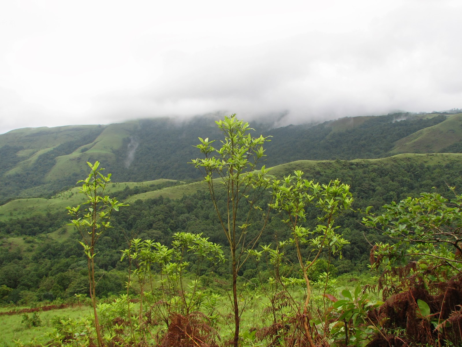 Tourism and Environment: Drive through the Hills of Karnataka ...