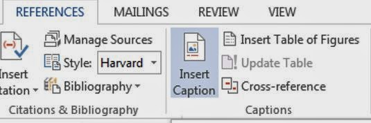 Microsoft Office Tips and Tricks by MissusMck: Adding captions in MS Word