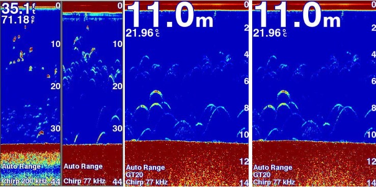 Fish Fender FF 250 GPS | IKAN DAN LAUT