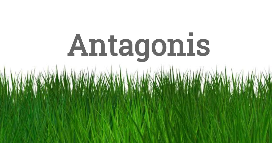 Lawan Kata Antagonis