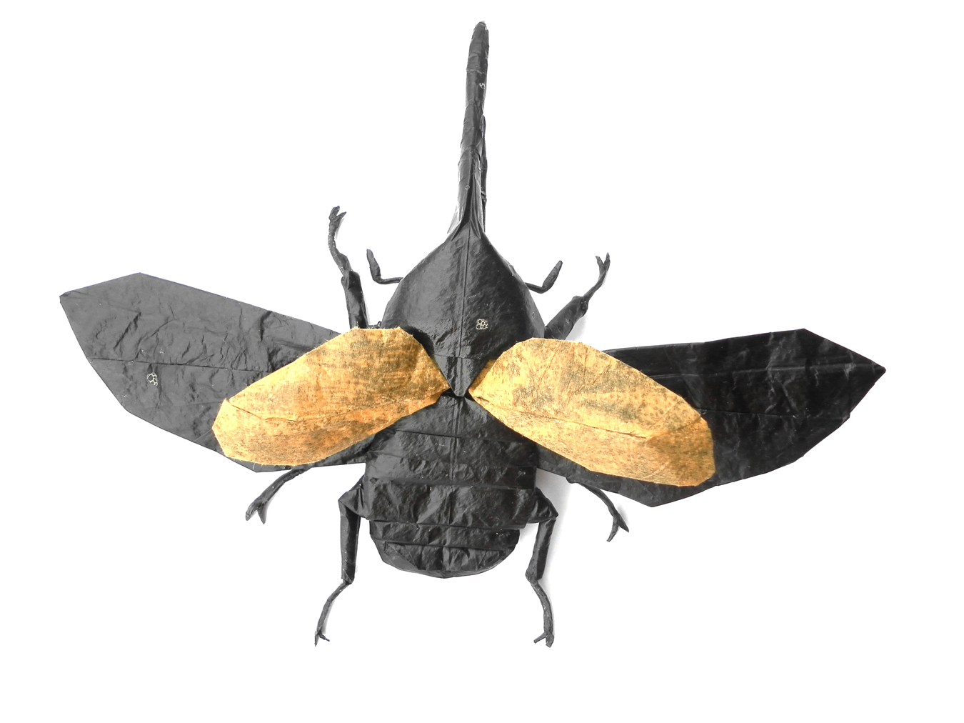 Mariano Mi Mundo El Origami Flying Hercules Beetle