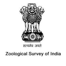 Zoological Survey of India - ZSI Recruitment 2021 - Last Date 15 March ...