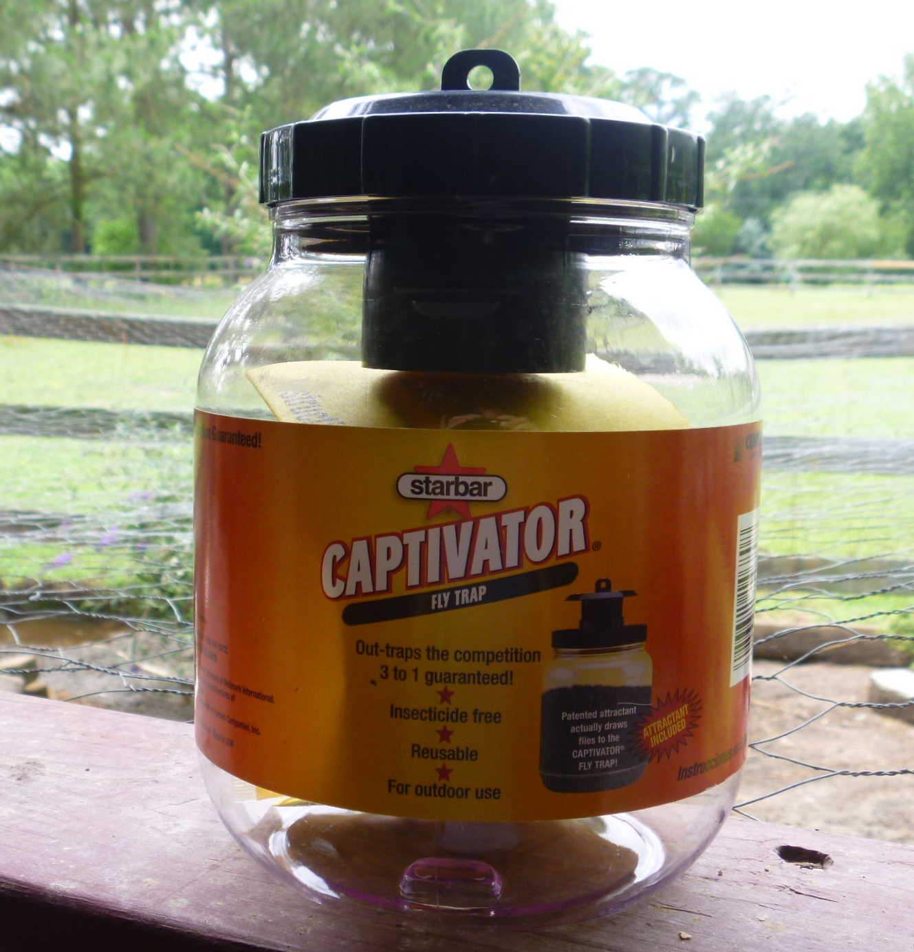 Got Flies ? Make This Easy DIY Fly Catcher out of a Soda Bottle | Fresh ...