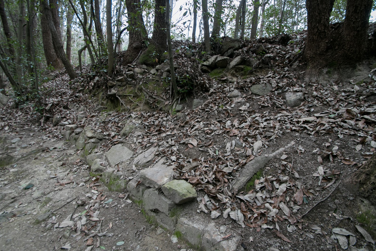 Niitakayama Castle -Intellectual pillar of Mouri clan (2)- | Japan ...