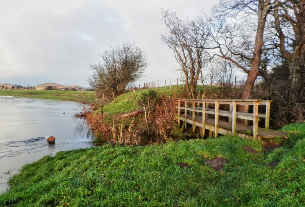 My Daily Walk: The Piers, River Forth, Cornton, Stirling