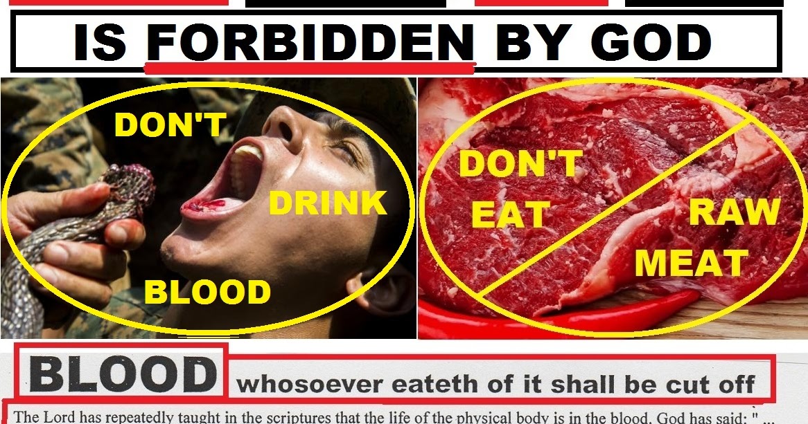 Book Of Mormon Speaks From The Dust EATING BLOOD RAW MEAT IS book-of-mormon-speaks-from-the-dust-eating-blood-raw-meat-is